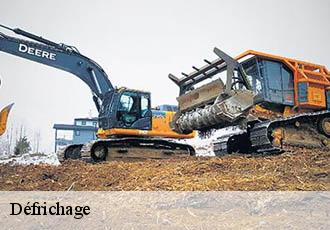 Spécialiste en défrichage à Pia tel: 04.82.29.61.58